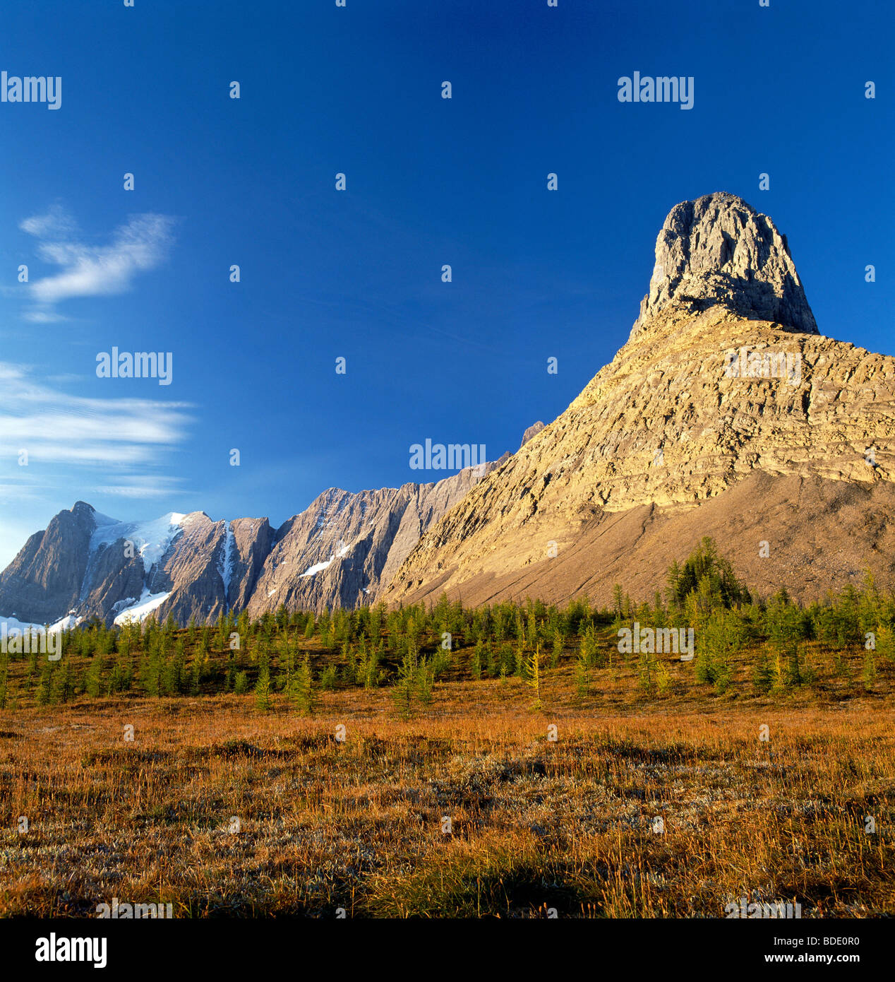 Mt. Grey at sunrise, Continental Divide, Kootenay National Park ...