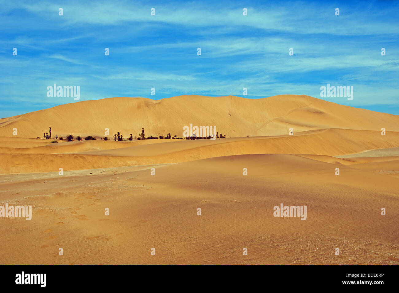 Dune 7 namibia hi-res stock photography and images - Alamy