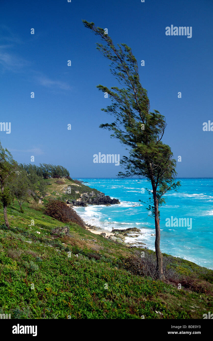 Winds blowing on the South Shore coastline of Bermuda Stock Photo - Alamy