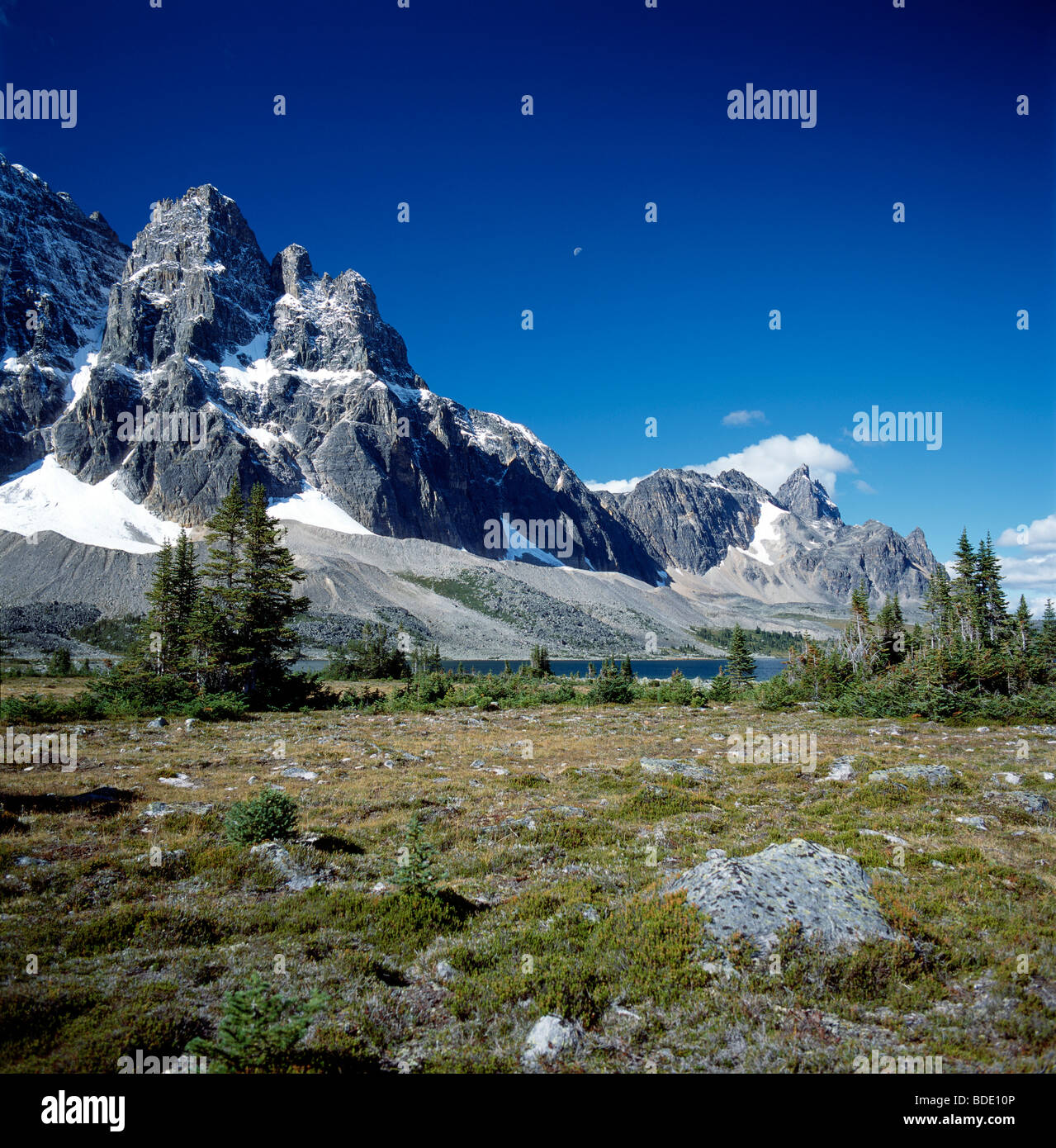 Mountains rise above Amethyst Lake, Jasper National Park, Alberta ...
