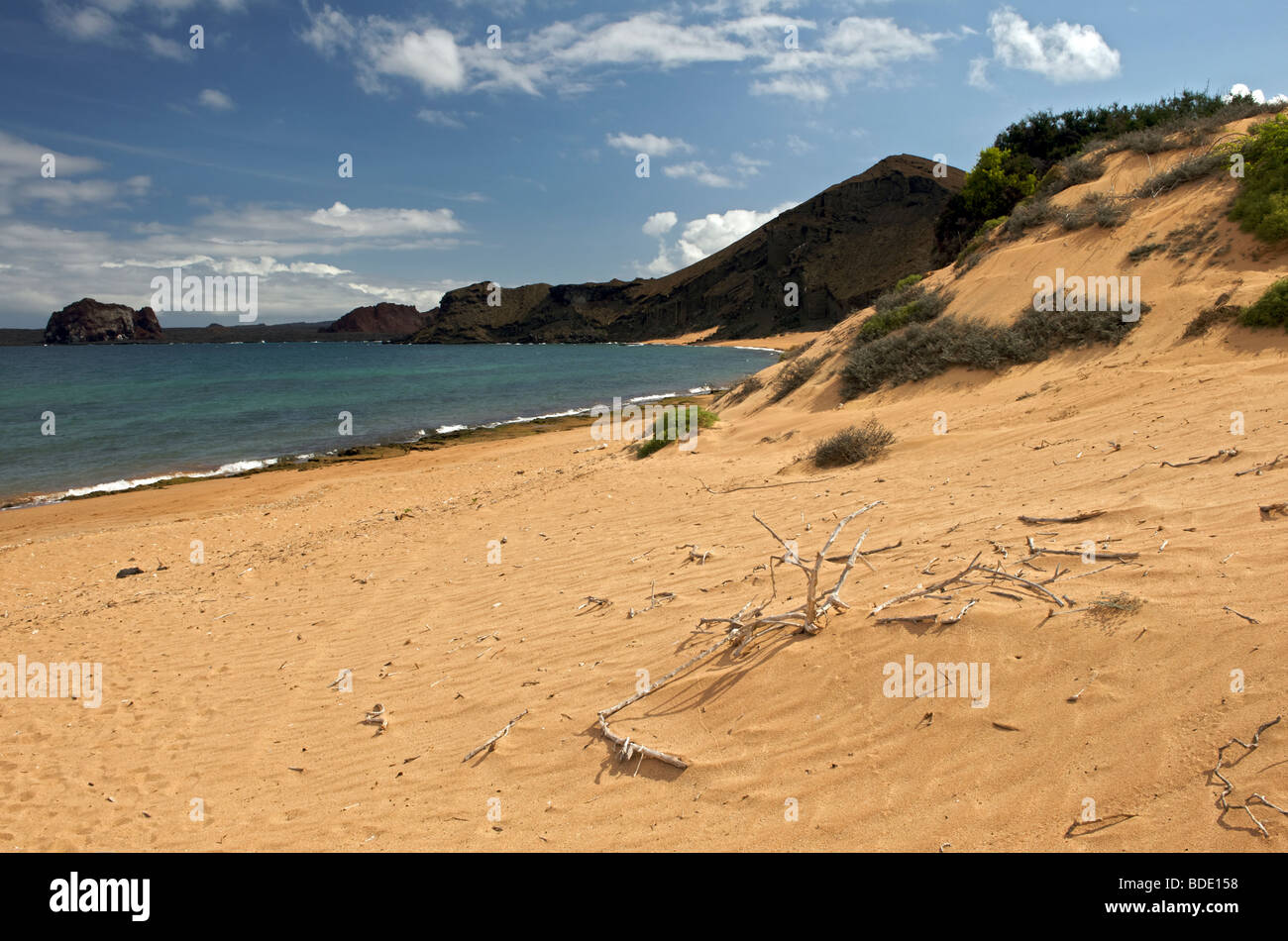 Looking across the beach along the sea shore, Rabida Island, Galapagos ...