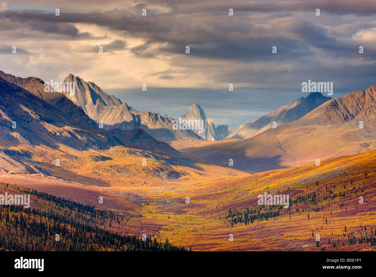 North Klondike River Valley displaying vibrant colors of autumn foliage ...