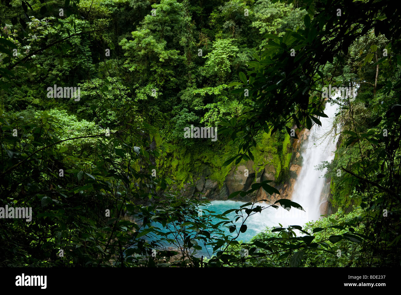 Rain forest waterfall along the vibrant blue Rio Celeste river in ...
