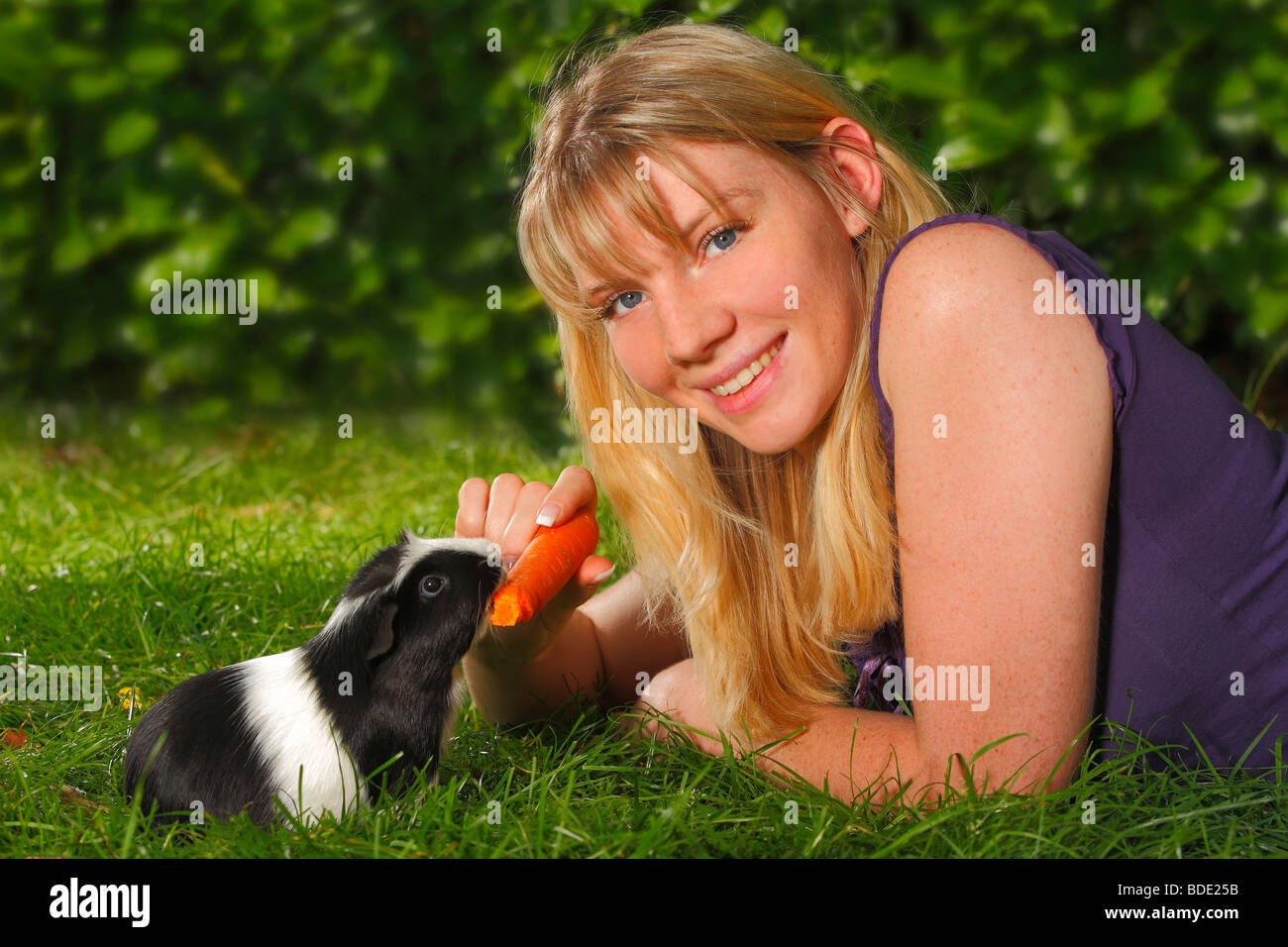 Woman feeding Guinea Pig with carrot Stock Photo - Alamy
