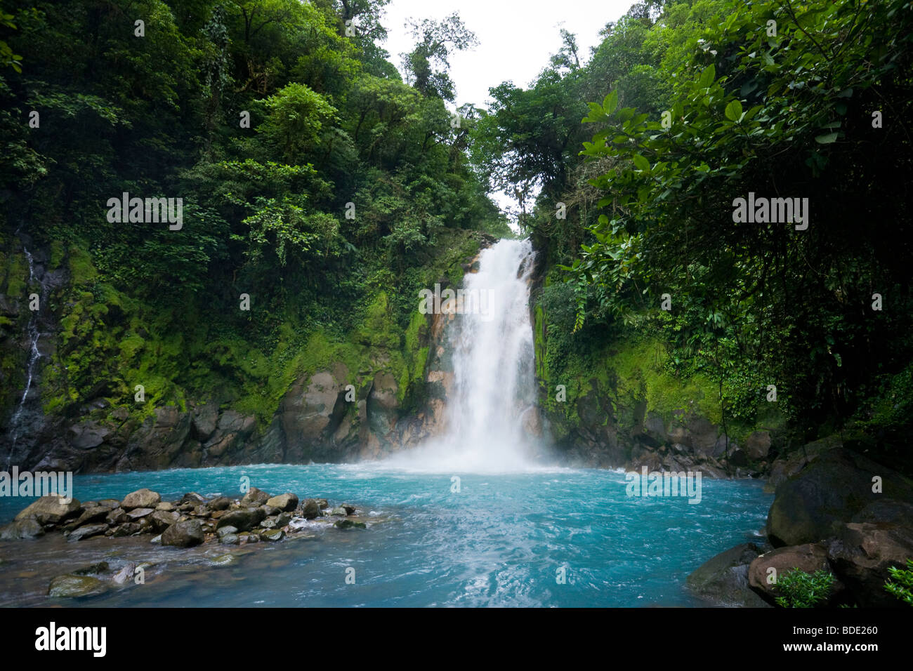 Rain forest waterfall along the vibrant blue Rio Celeste river in ...