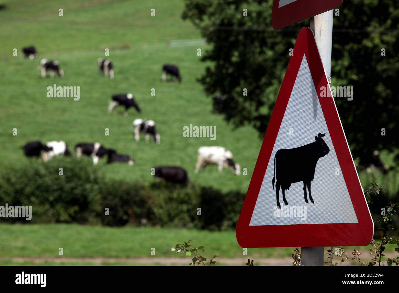 Fields Mark High Resolution Stock Photography and Images - Alamy