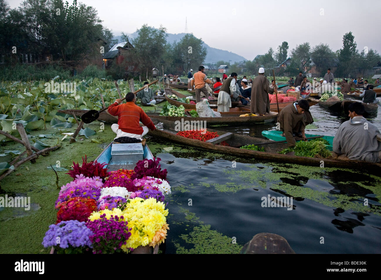 Floating market. Dal Lake. Srinagar. Kashmir. India Stock Photo - Alamy