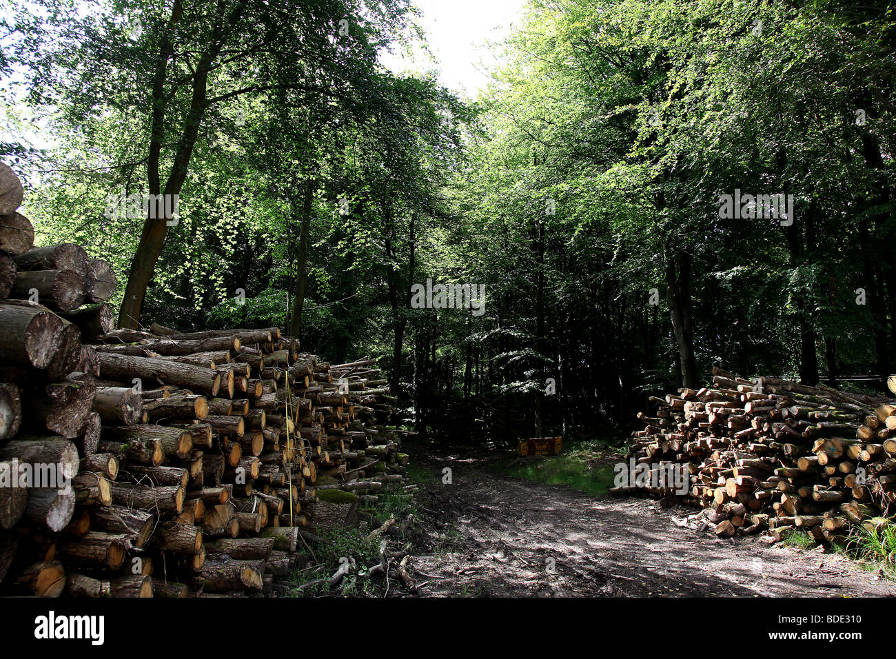 Green pic hi-res stock photography and images - Alamy