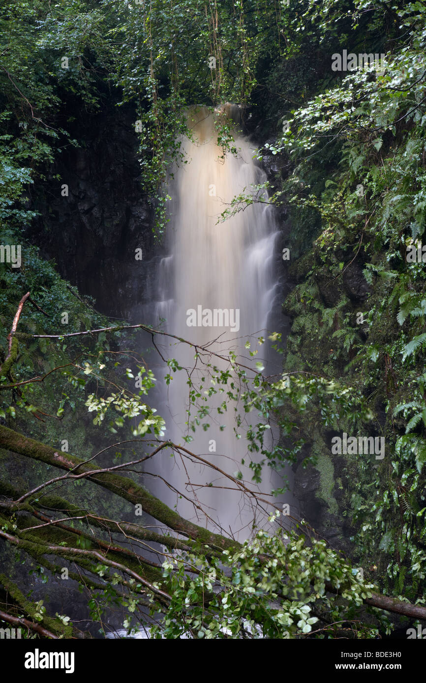 Cranny uk hi-res stock photography and images - Alamy