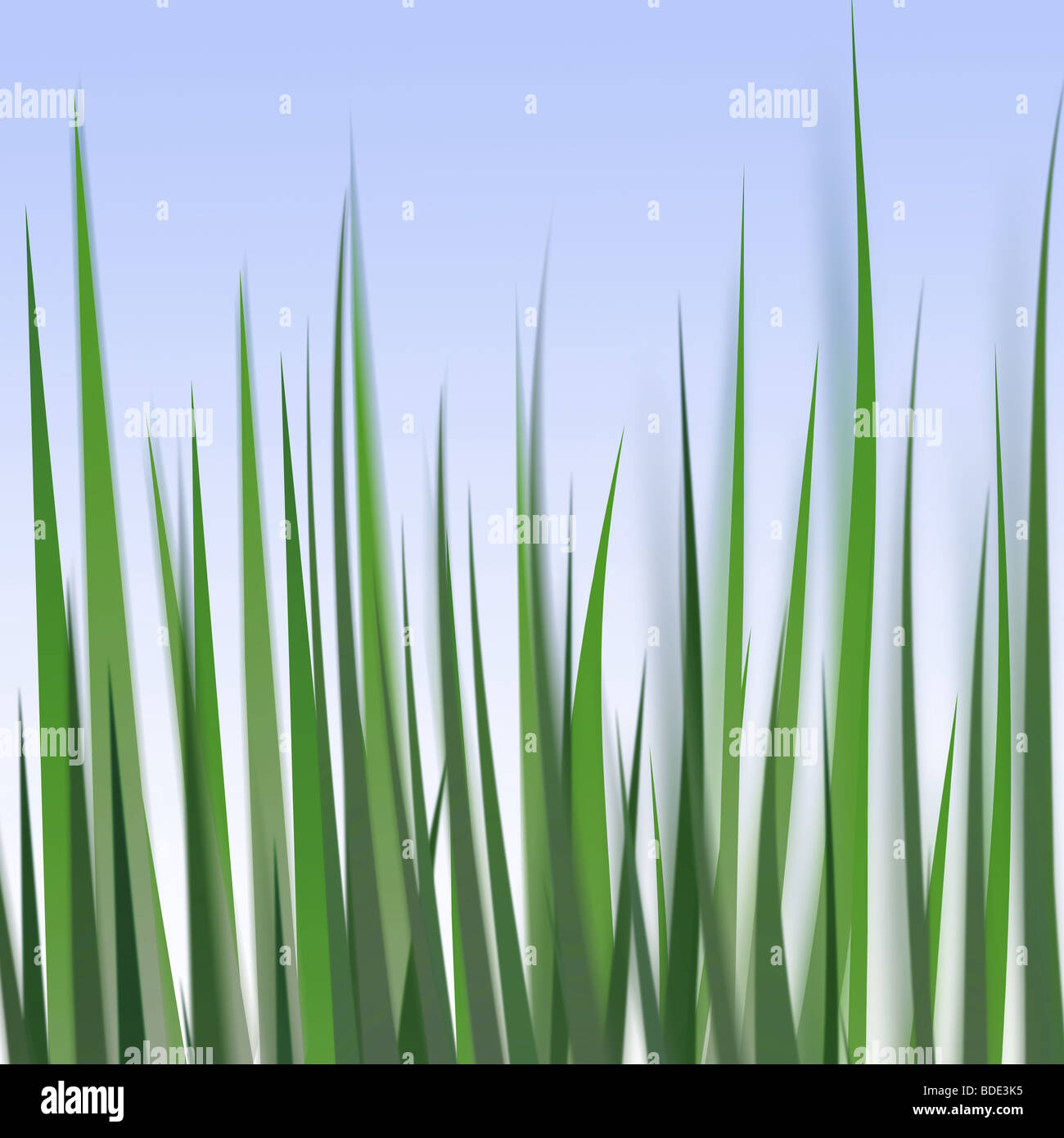 Illustration of green grass with shadow Stock Photo - Alamy