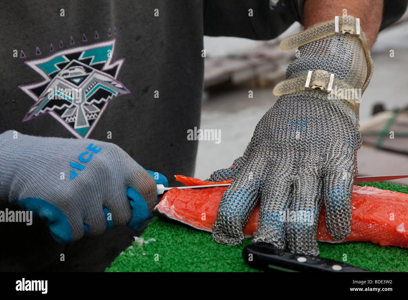 Man Fillets Red Salmon Caught on Fish Wheel in Alaska's Copper River ...