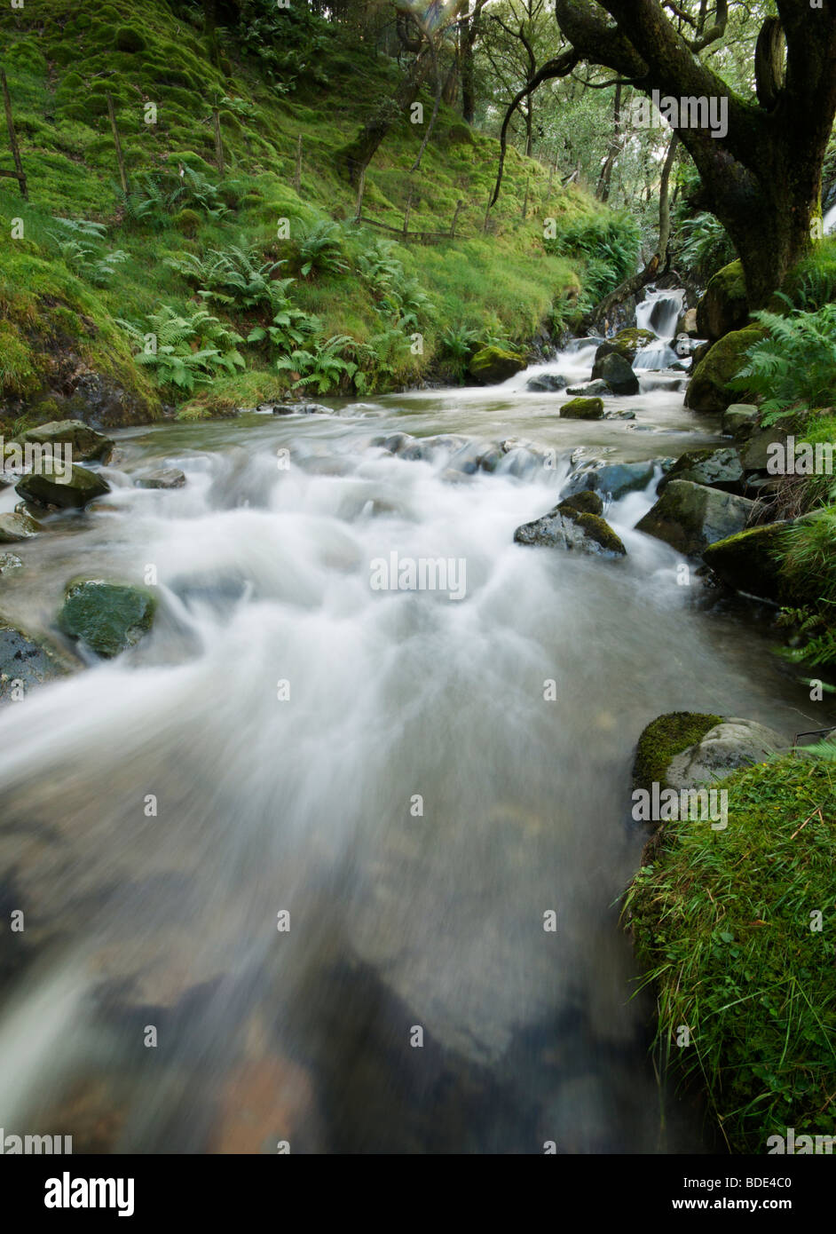 Movement lake district england uk hi-res stock photography and images ...