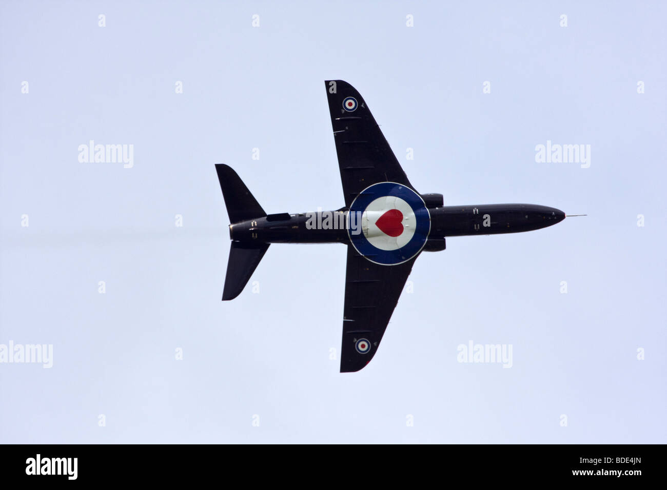 Hawk training High Resolution Stock Photography and Images - Alamy