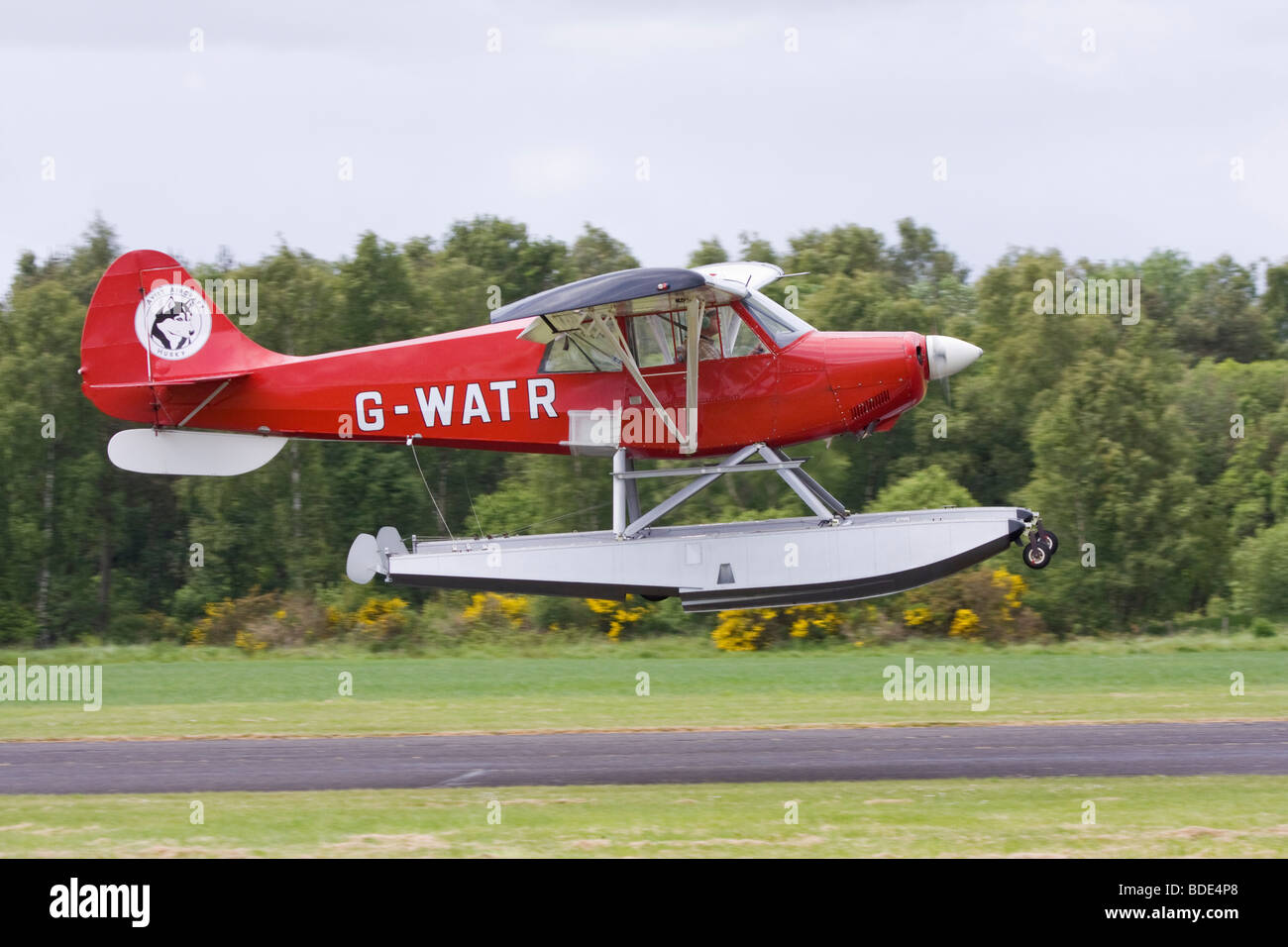 Aviat A-1 Husky two seat high wing light utility aircraft Stock Photo ...