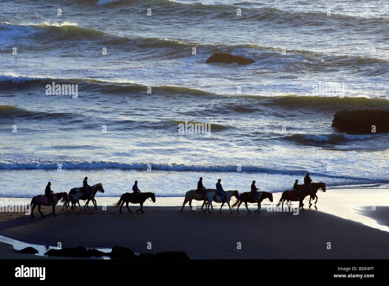 Horseback Riding on Beach Stock Photo - Alamy