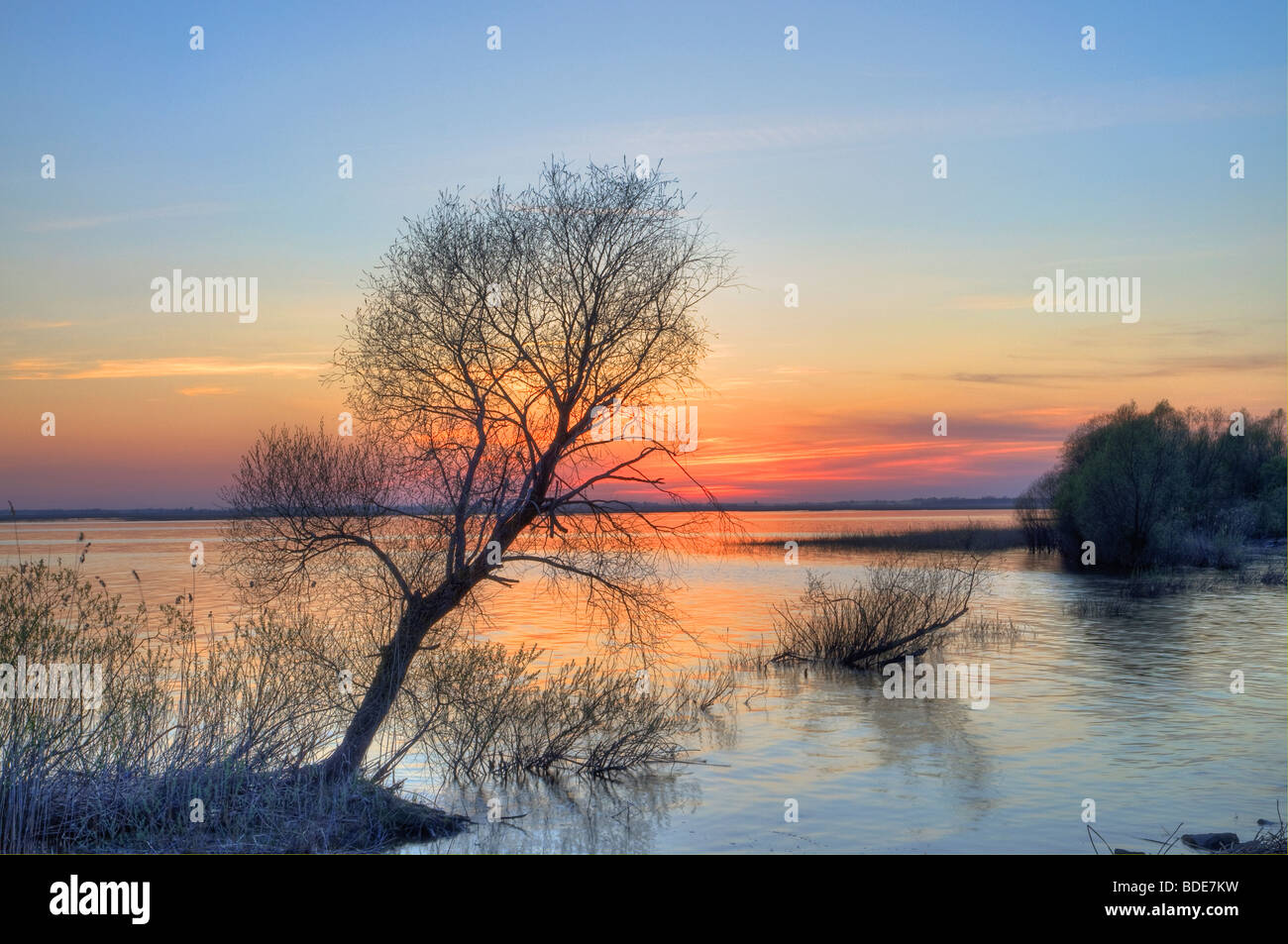 Lubana hi-res stock photography and images - Alamy