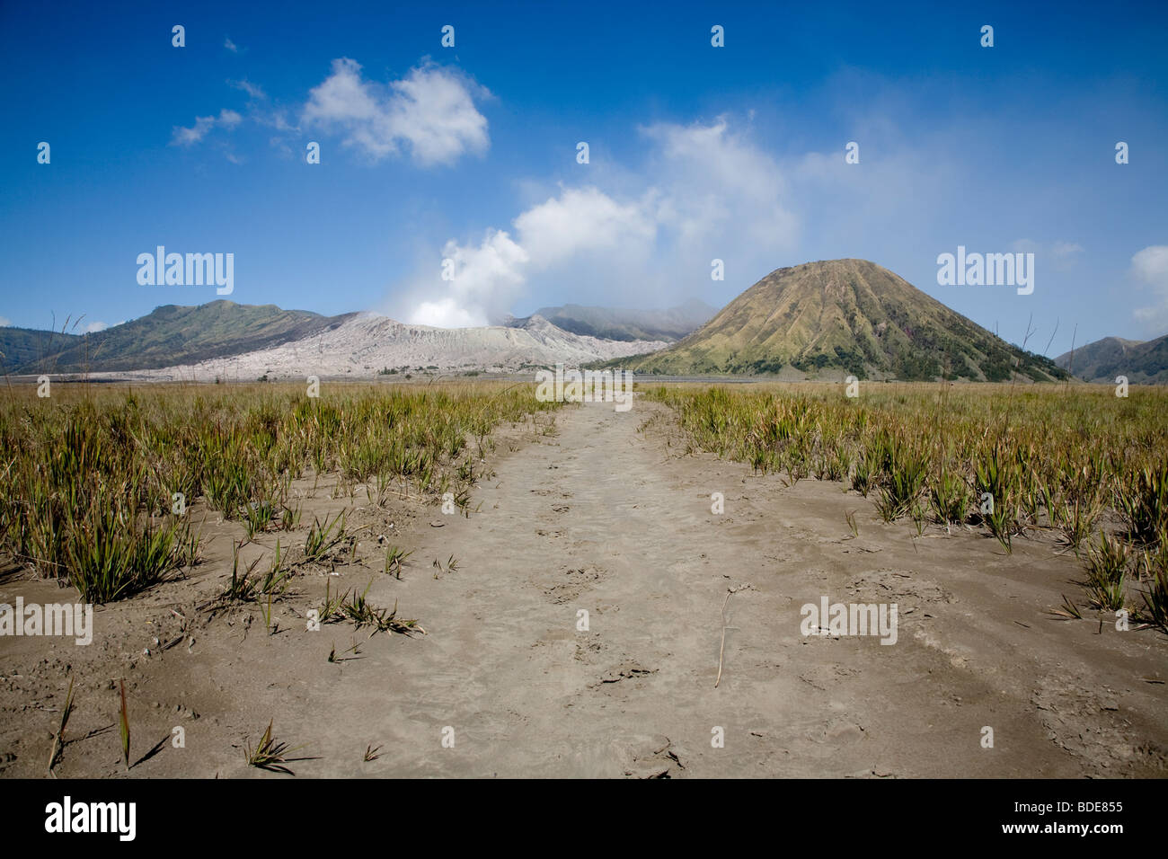 Path across the sea of sand to Mount Bromo, Java, Indonesia Stock Photo ...