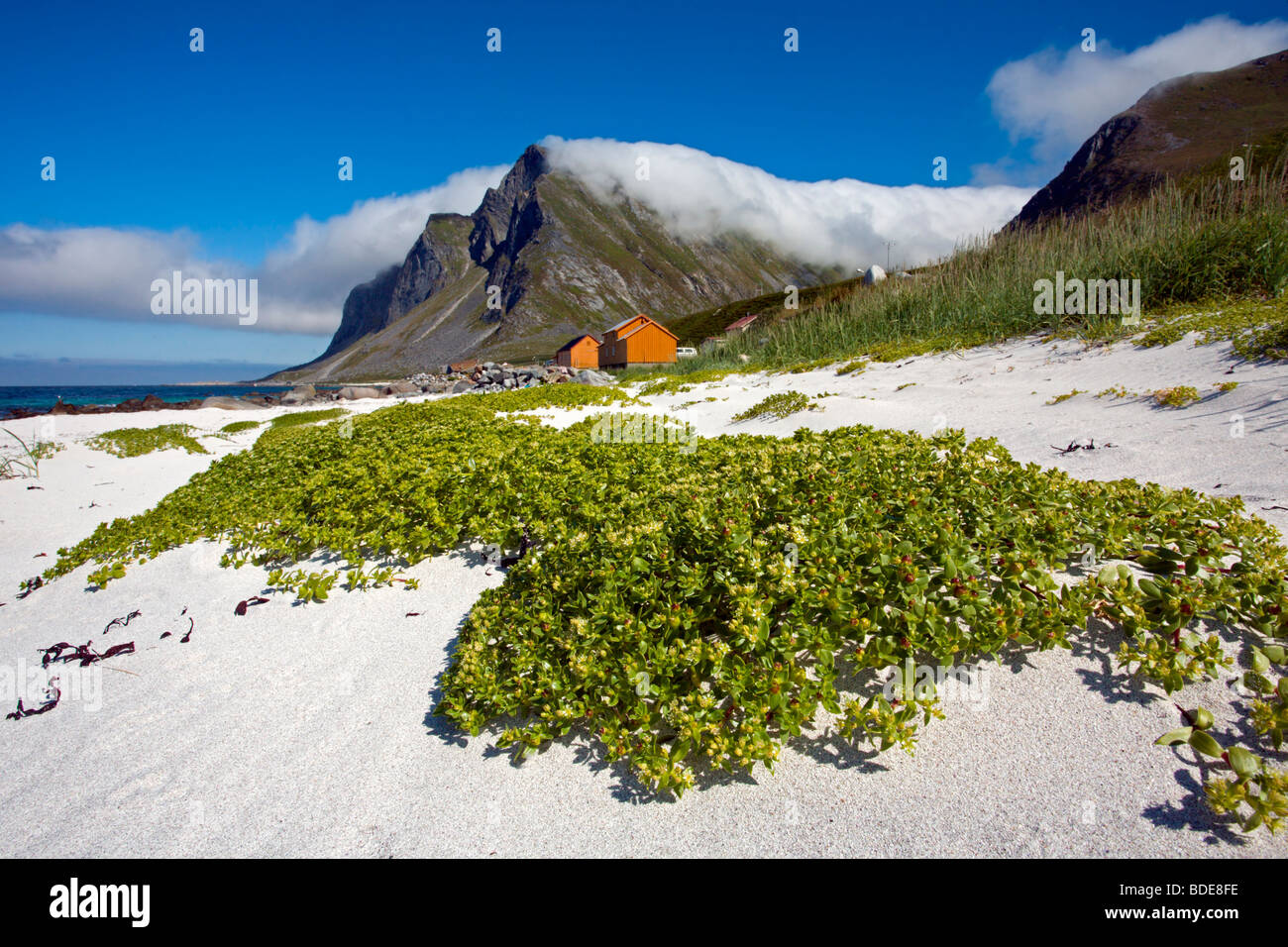 Flakstad Island: Vikten Beach with Green Grass, Mountains and Clouds ...