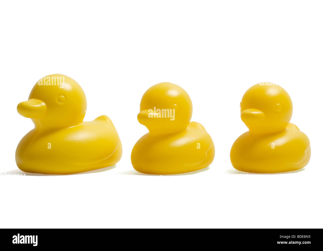 Three yellow plastic ducks on white background Stock Photo - Alamy