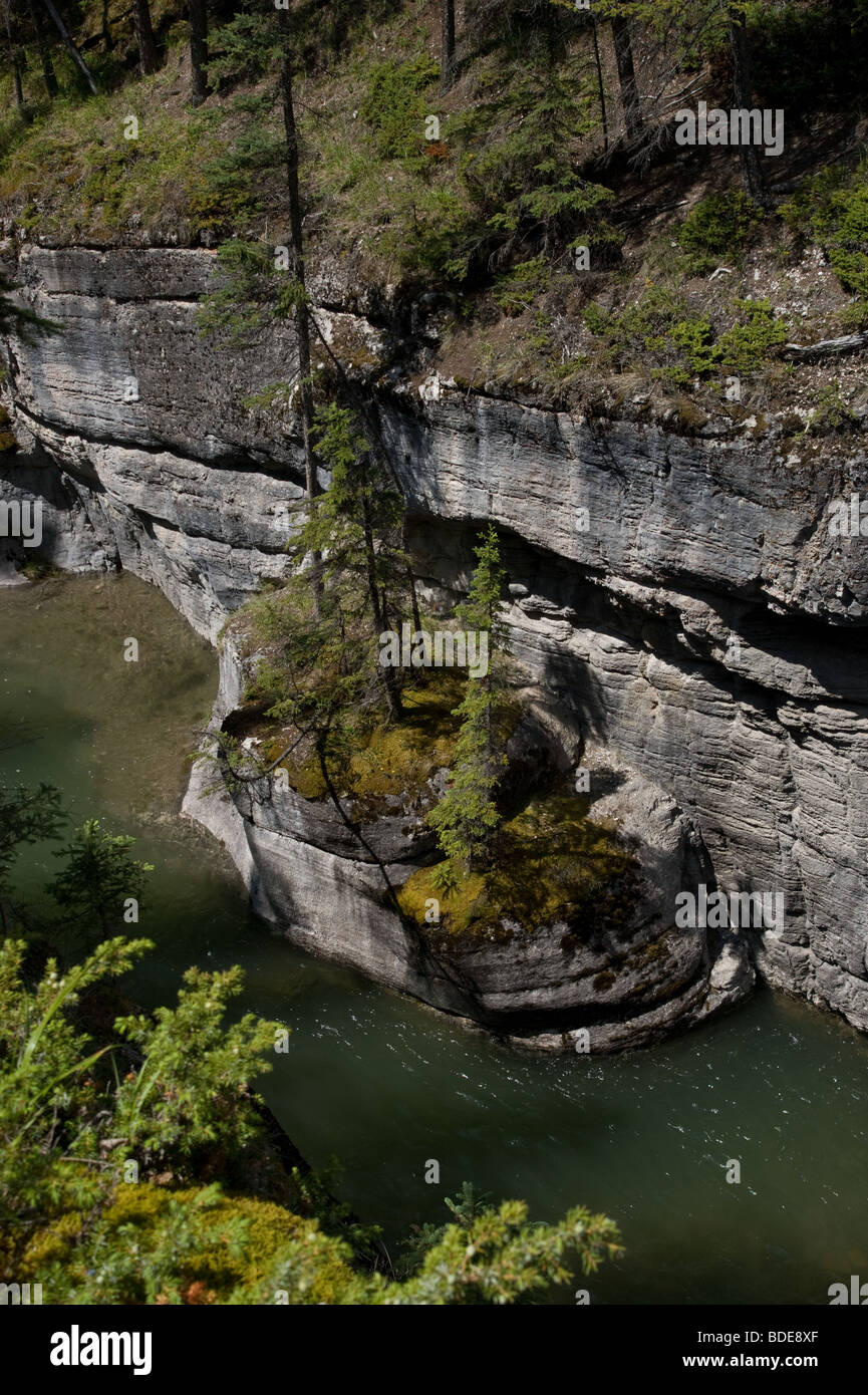 Maligne Canyon in Jasper National park Alberta, Canada Stock Photo - Alamy