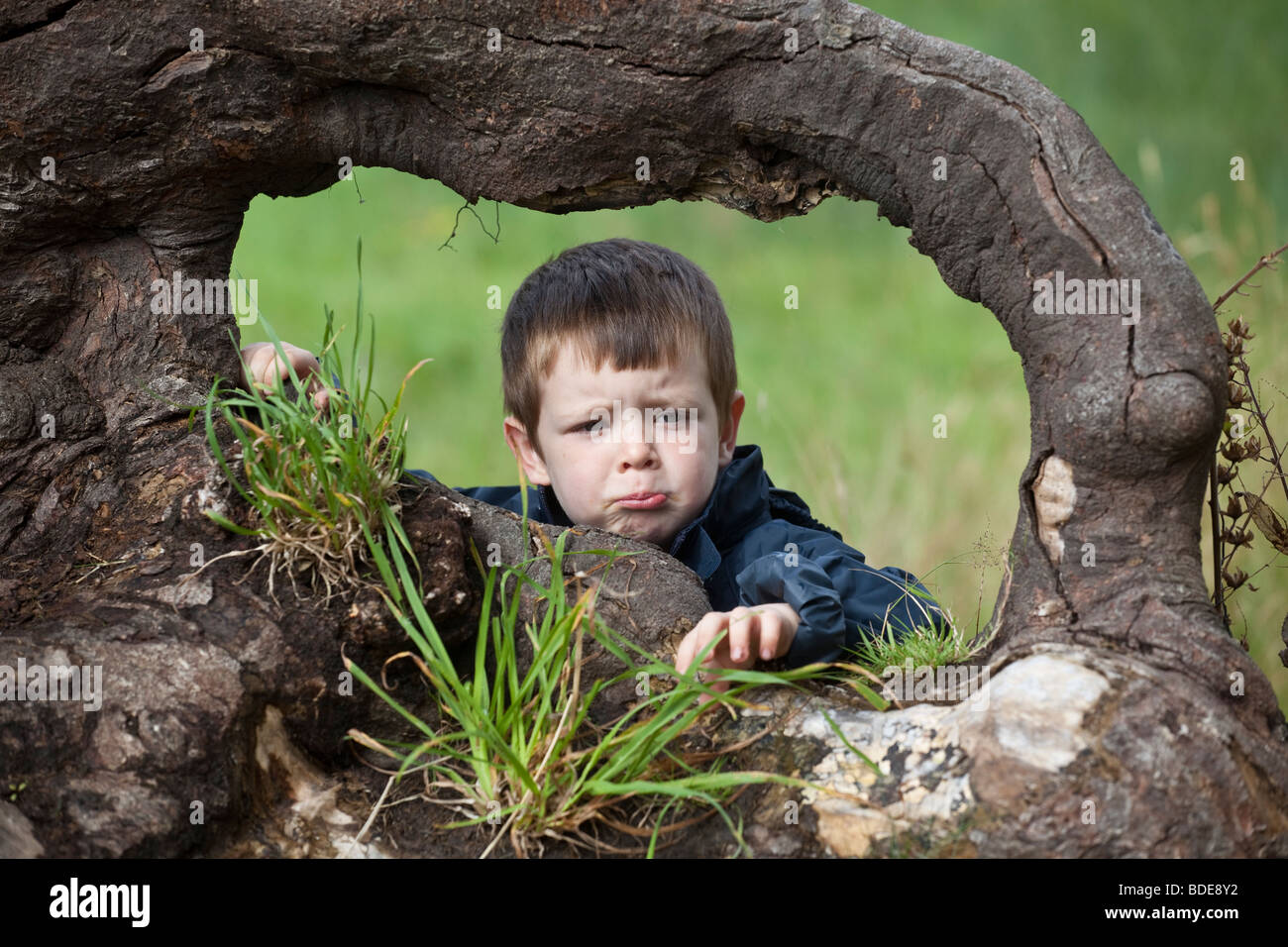 Forlorn face hi-res stock photography and images - Alamy