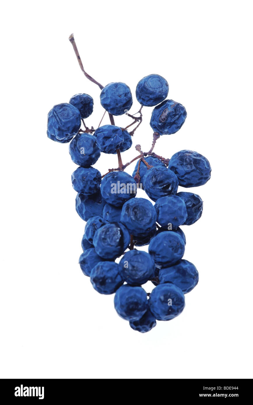 Blue grape cluster as raisin Stock Photo - Alamy