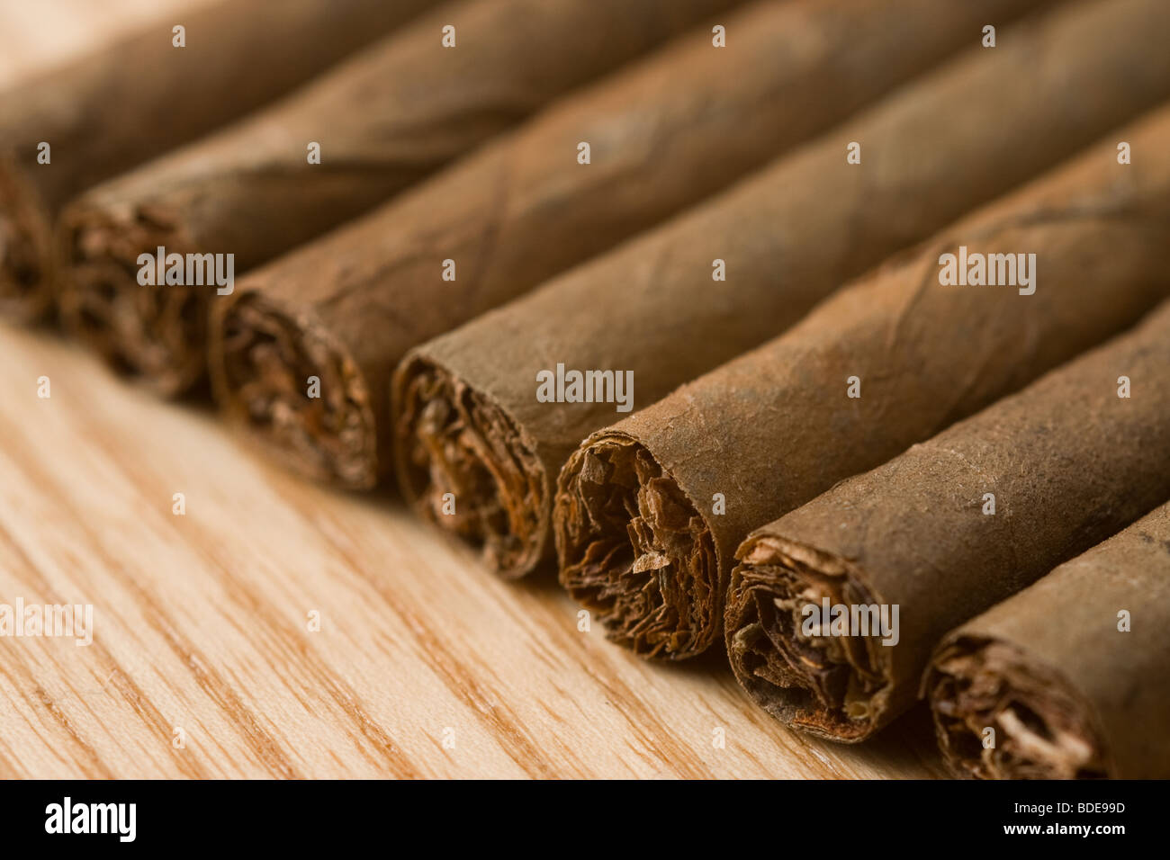 the detail of cuban cigar Stock Photo - Alamy