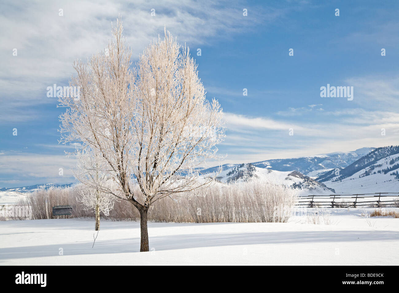 Winter scene Yellowstone National Park, USA Stock Photo - Alamy