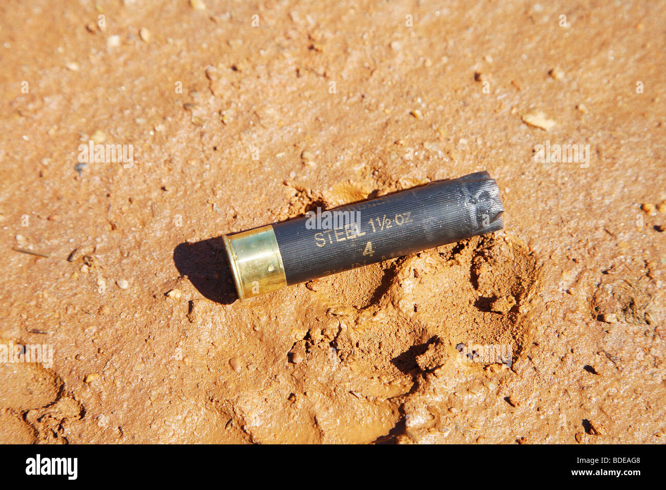 1 5 ounces hi-res stock photography and images - Alamy