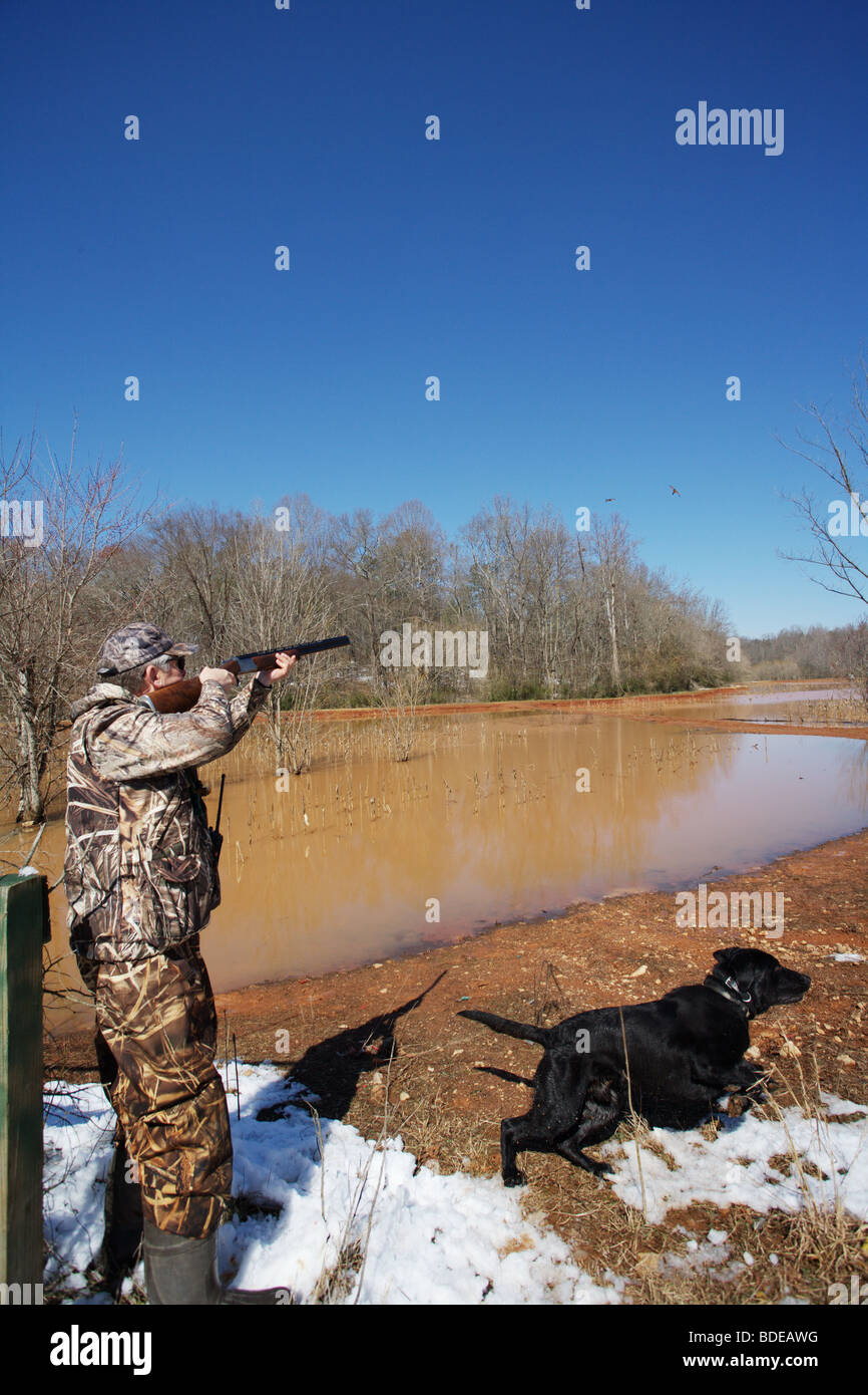 DUCK HUNTER IN CAMO SHOOTING AT MALLARD OVER MUDDY SLOUGH BIRD AND ...