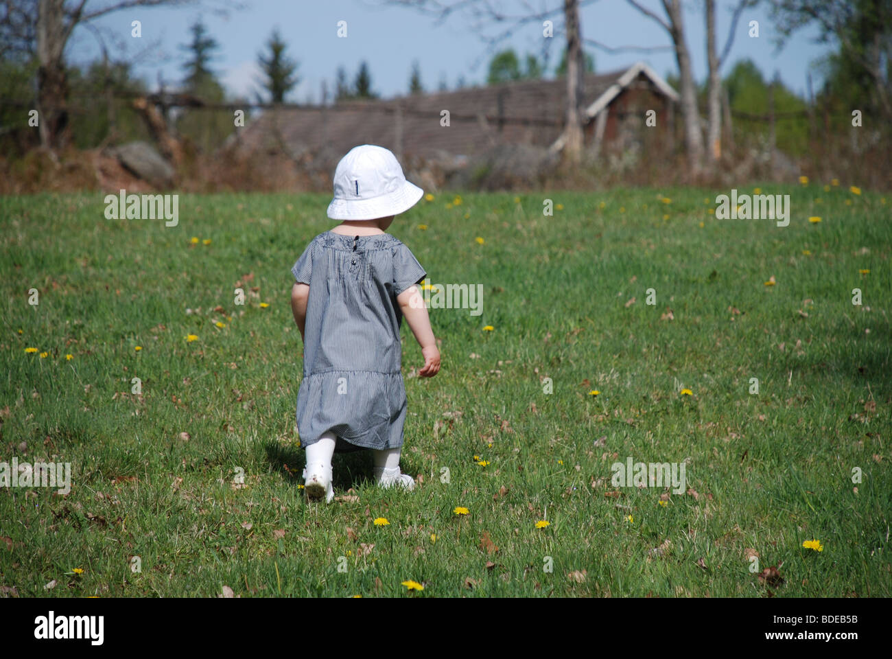 Child walking on a meadow Stock Photo - Alamy