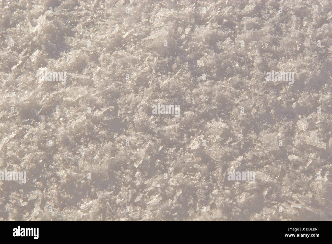 Ice crust as a white background. thin crust of ice over snow as a white ...