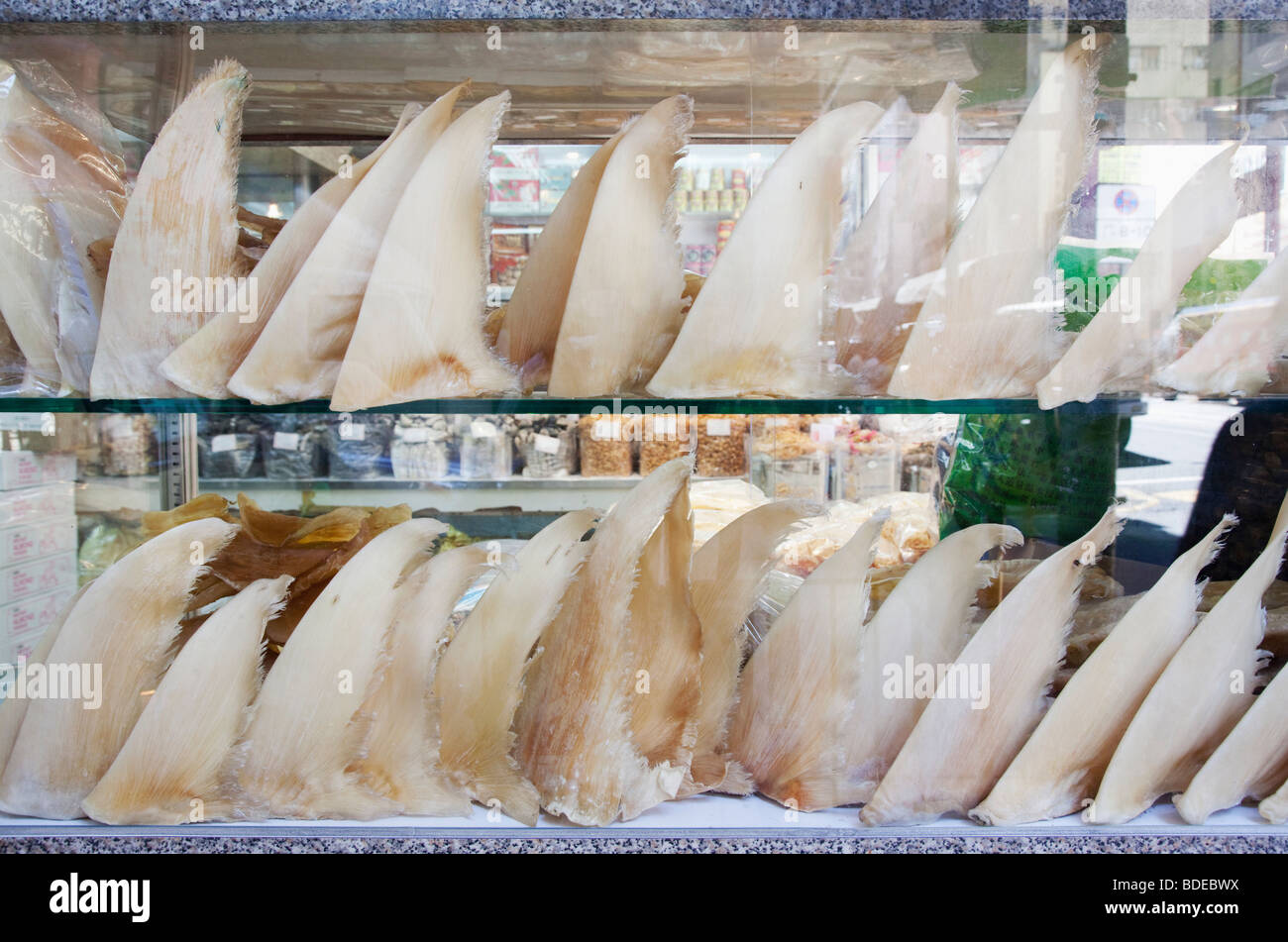 Shark fins on sale medicinal and herb district, Bonham Strand, Sheung ...