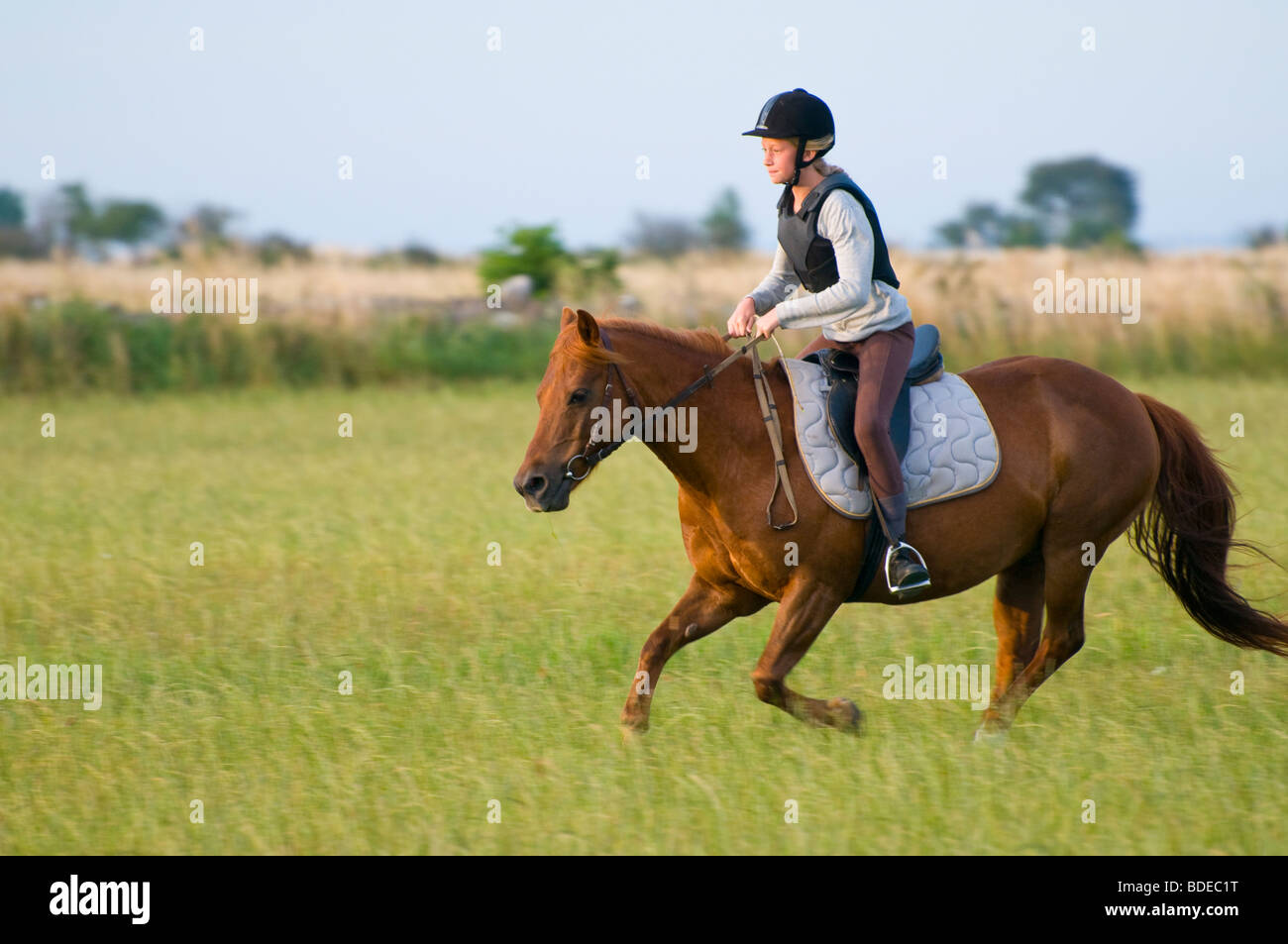 Young girl riding a pony Stock Photo - Alamy