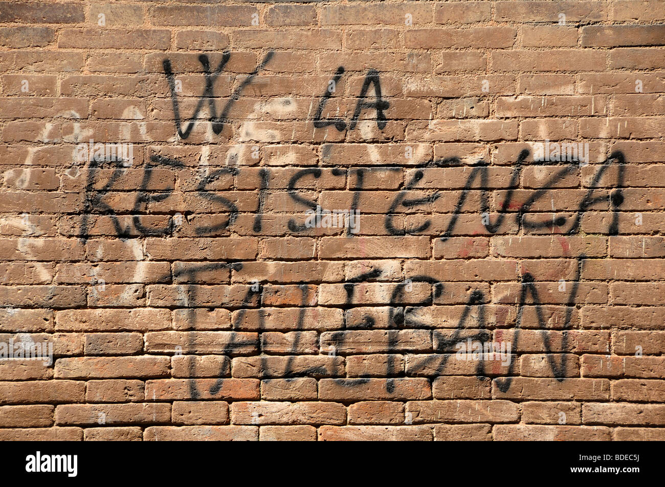 Graffiti in Modena, Italy Stock Photo - Alamy