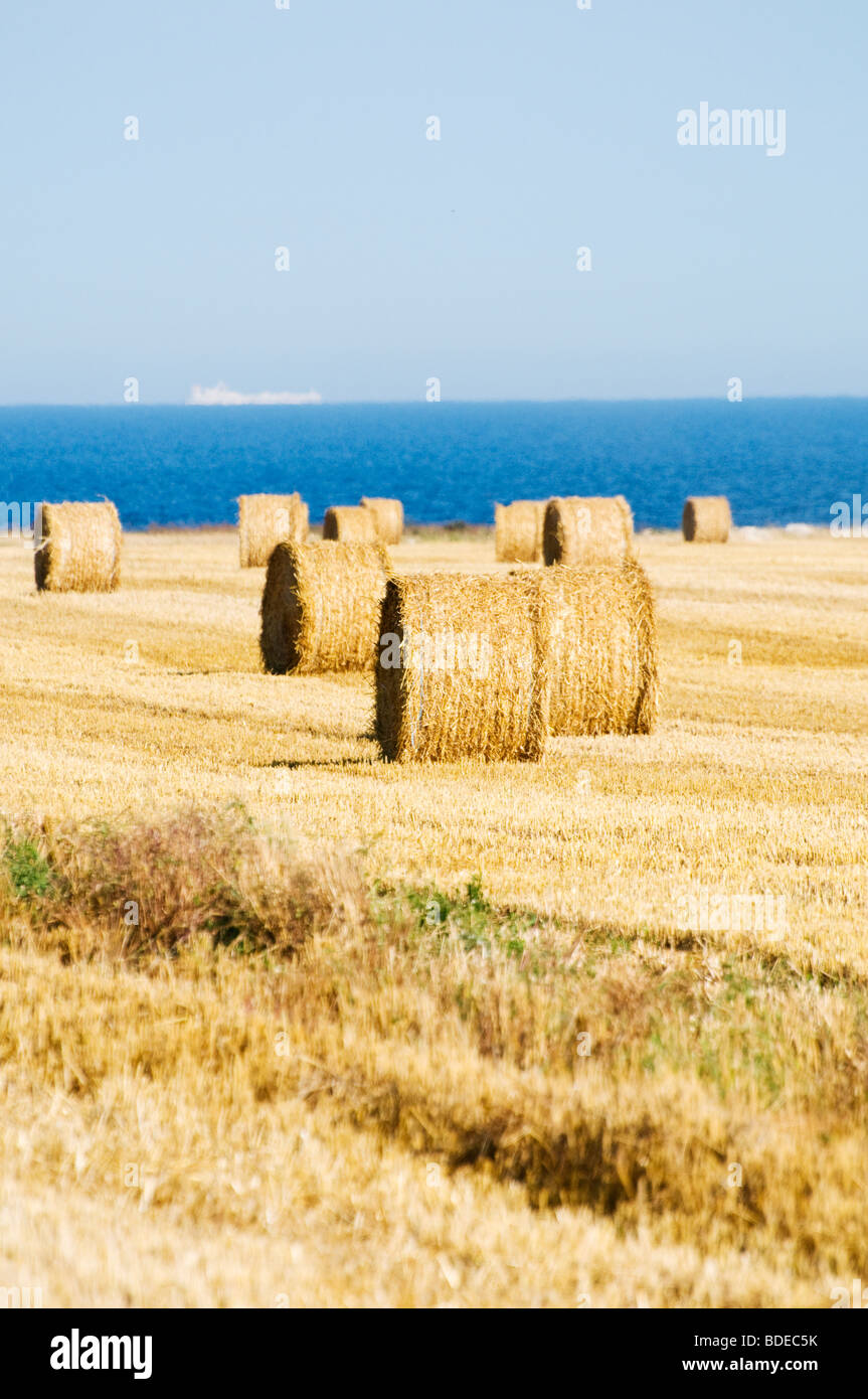Hay boat hi-res stock photography and images - Alamy