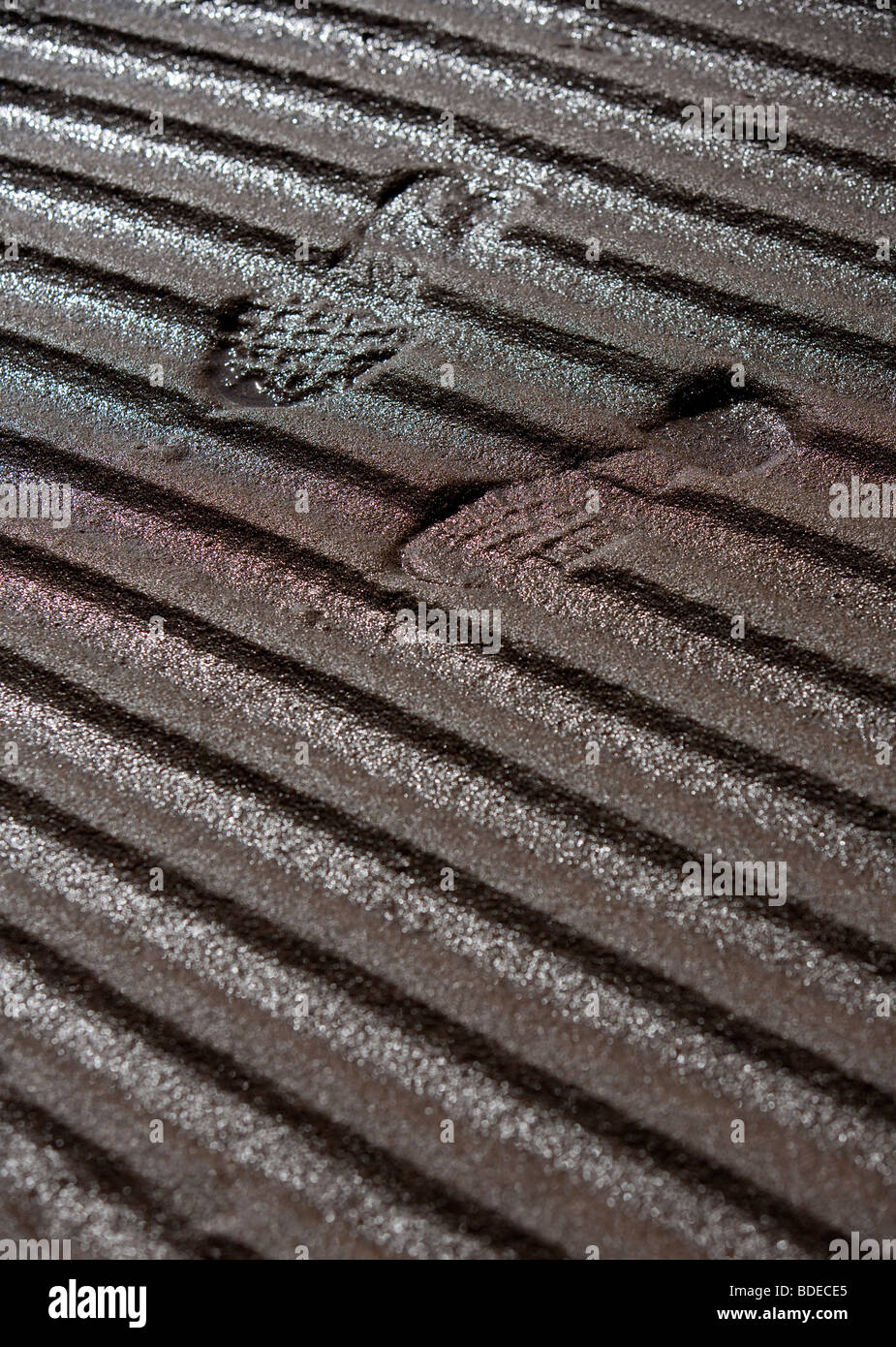 Striation texture hi-res stock photography and images - Alamy