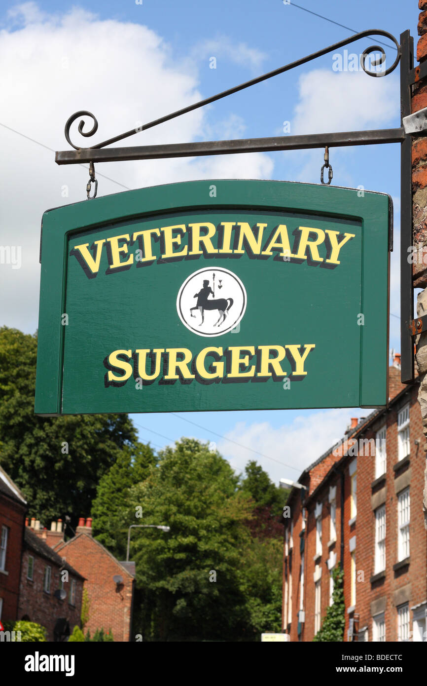 A sign at a veterinary surgery in the U.K Stock Photo - Alamy