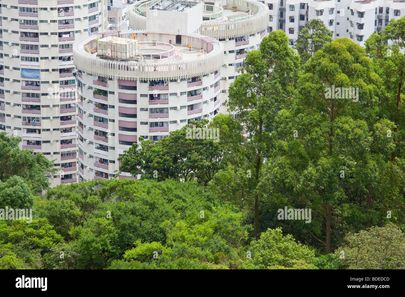 Green areas and high rise buildings Hong Kong, China Stock Photo - Alamy