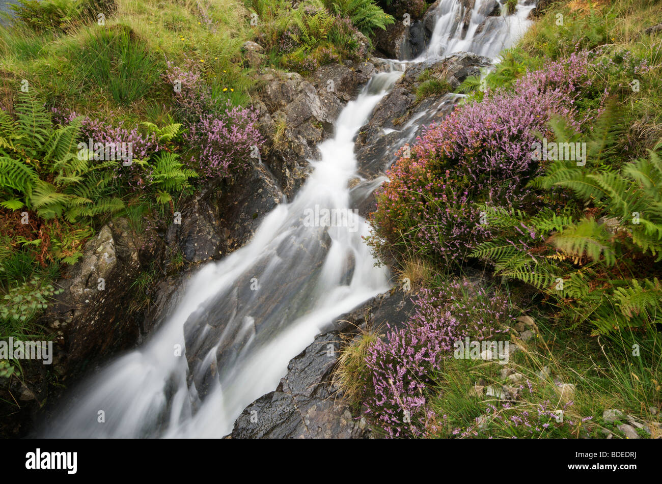Mountain stream in lake district hi-res stock photography and images ...