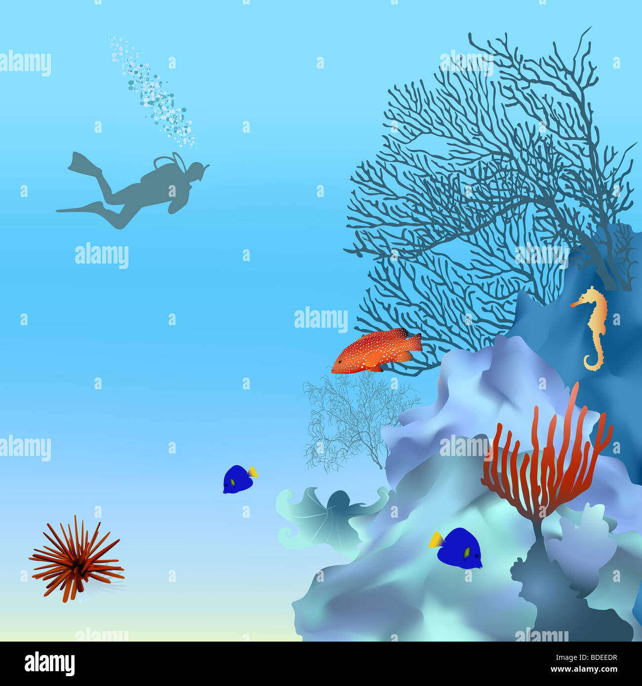 Coral reef with fish Stock Photo - Alamy