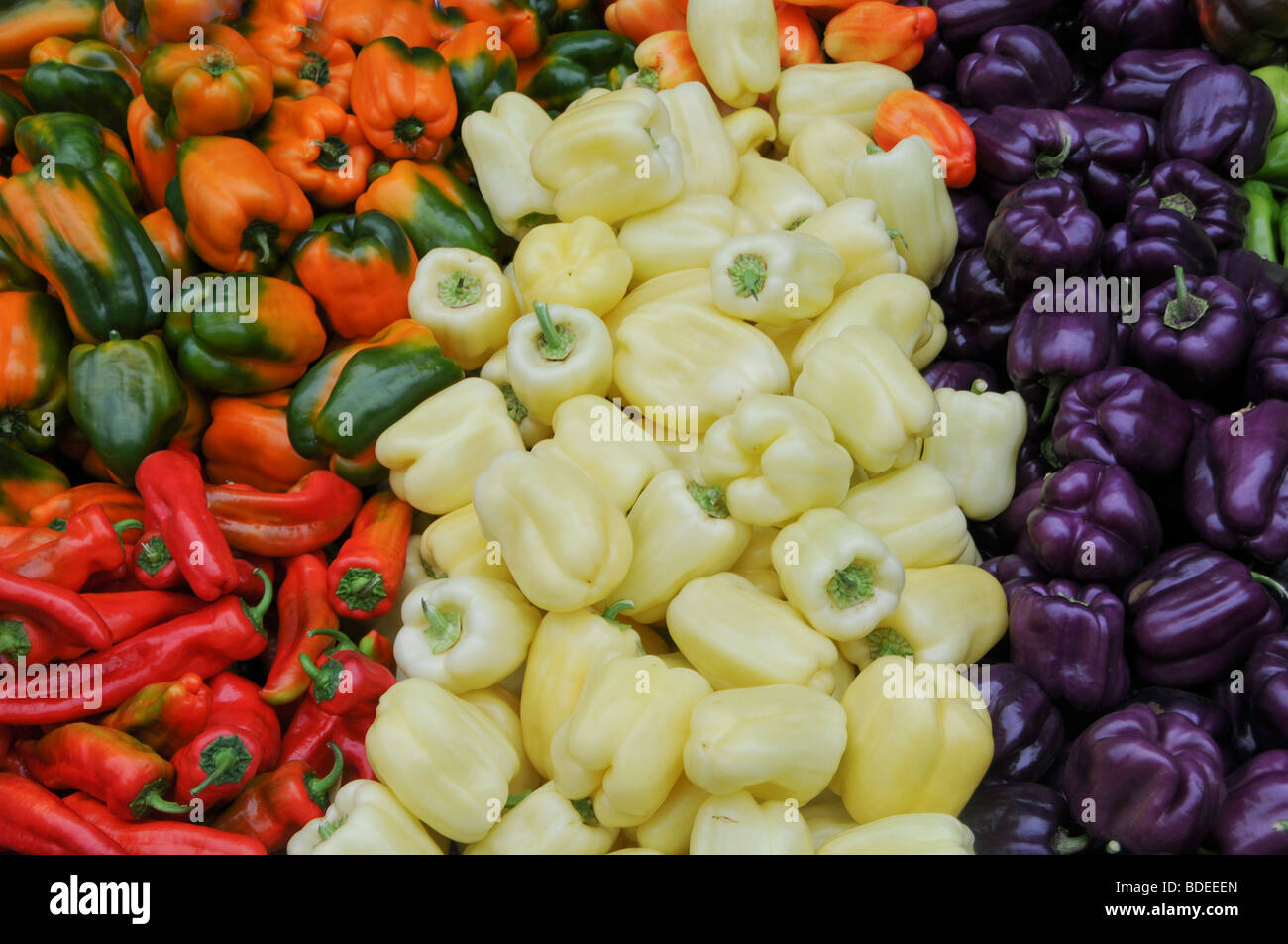 Variety of Peppers Stock Photo - Alamy