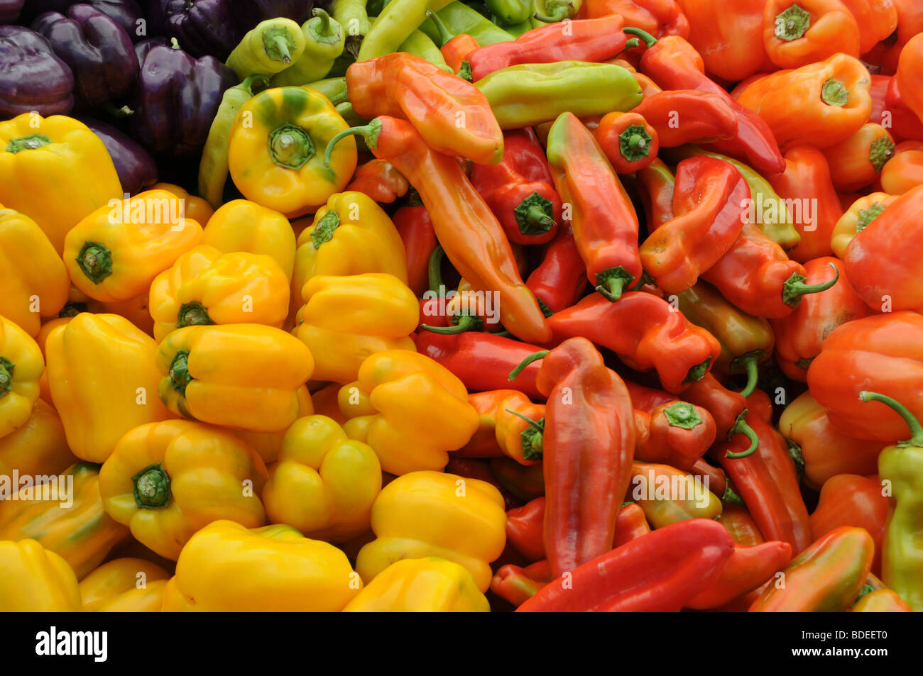 Variety of Peppers Stock Photo - Alamy