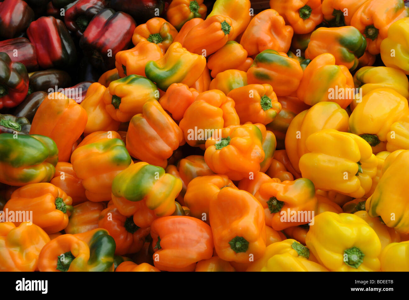 Variety of Peppers Stock Photo - Alamy