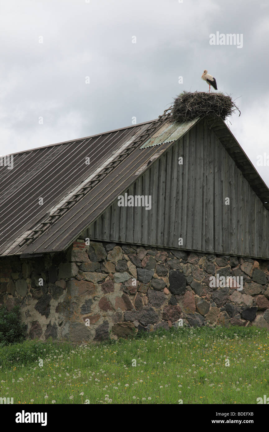 Estonia estonian farm landscape hi-res stock photography and images - Alamy