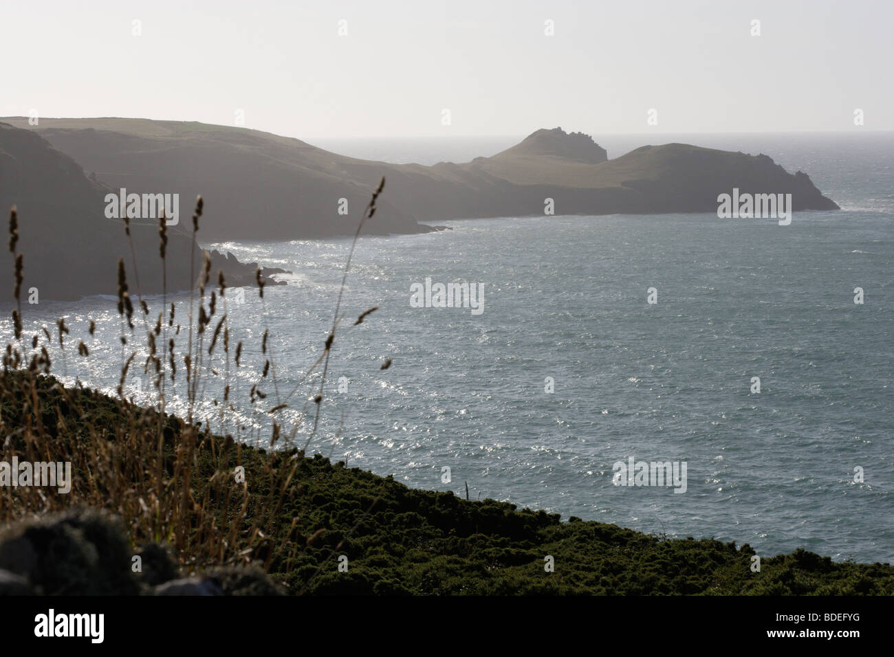 The rumps hi-res stock photography and images - Alamy