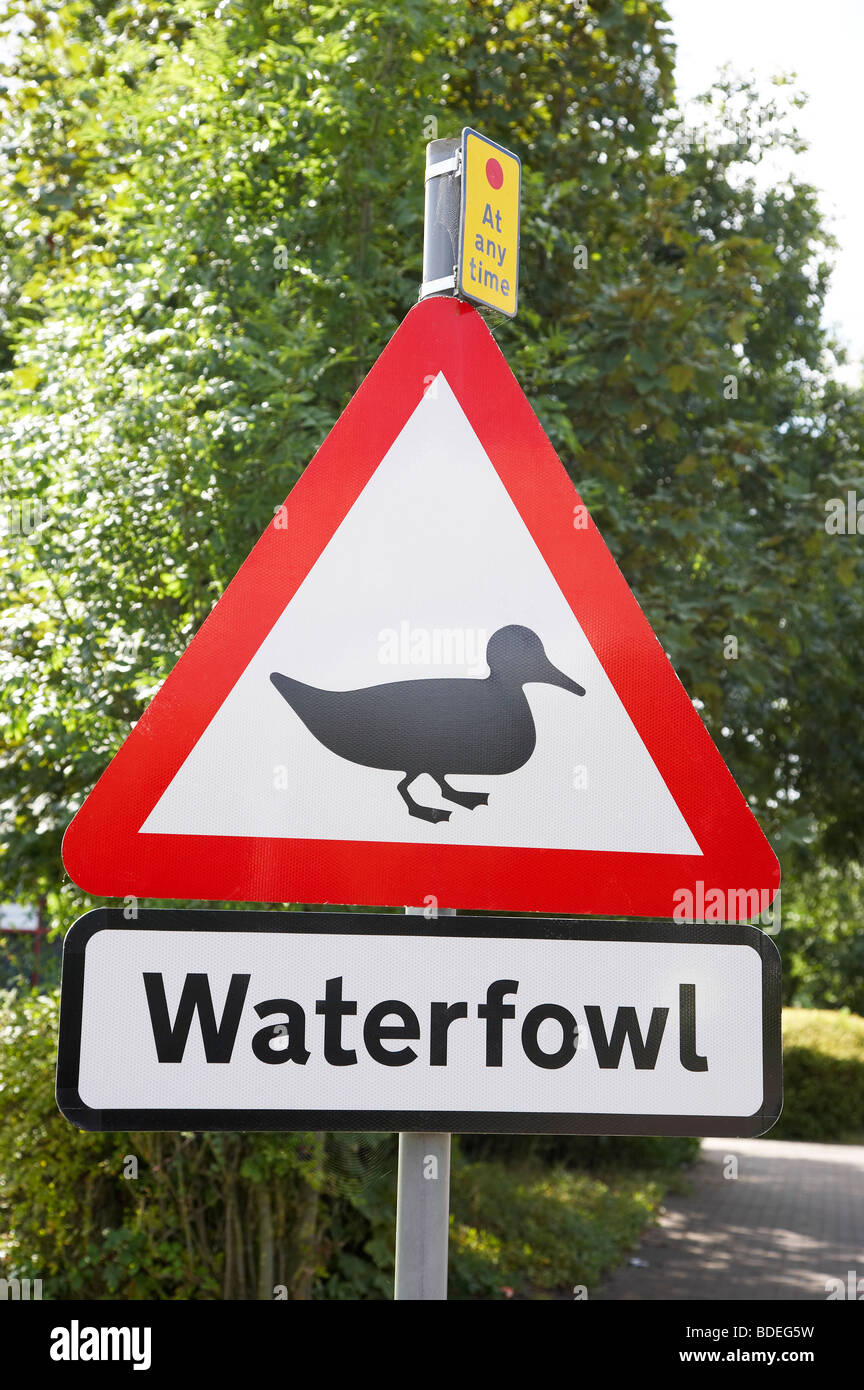 Ducks signs traffic street crossing roadsign hi-res stock photography ...
