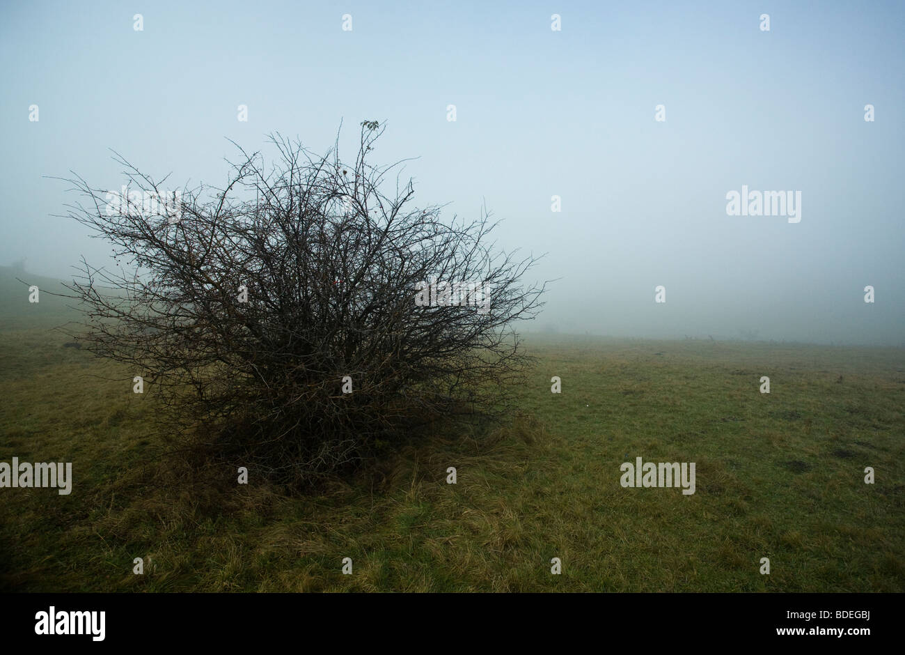 Foggy landscape, deserted grass field, Bulgaria Stock Photo - Alamy