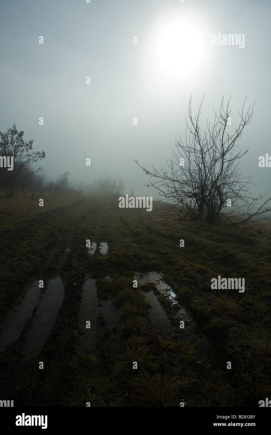 Foggy landscape, deserted grass field, Bulgaria Stock Photo - Alamy