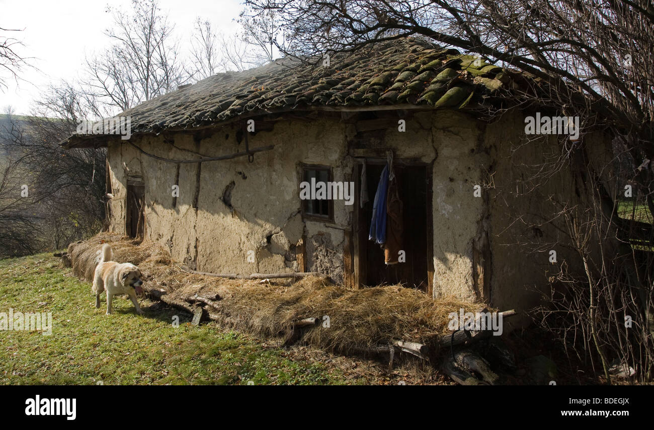 Ugly hut hi-res stock photography and images - Alamy